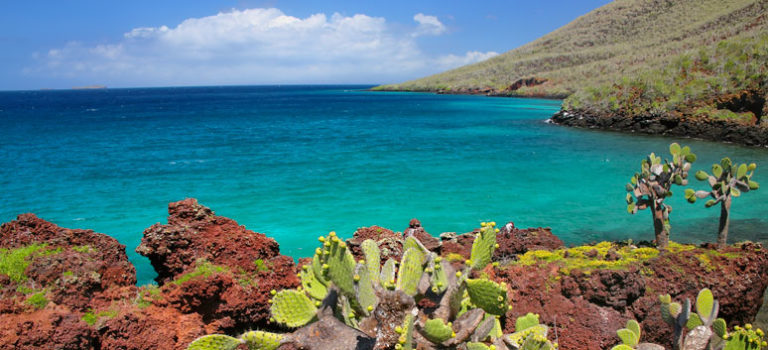 galapagos-blog-img-5 | The Galápagos Explorer